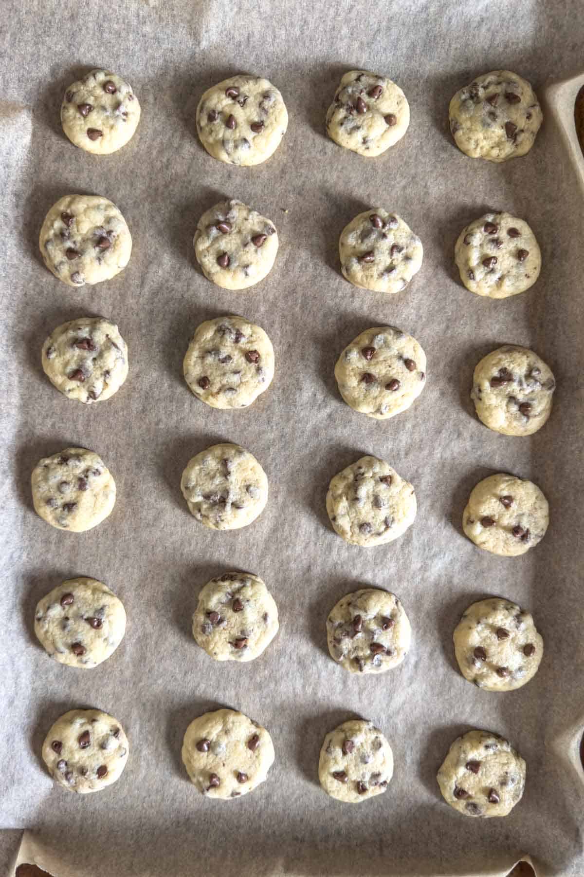 Mini Chocolate Chip Cookies - Happy Snackcidents